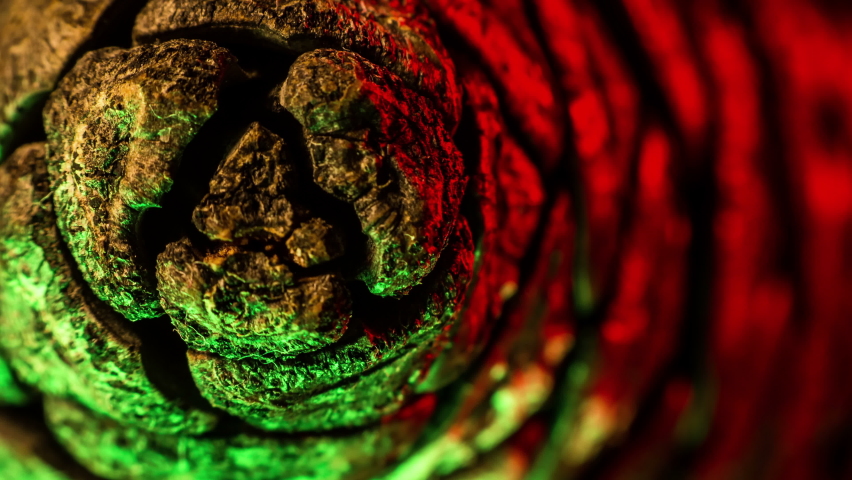 Squama Stock Video Footage - 4K and HD Video Clips | Shutterstock