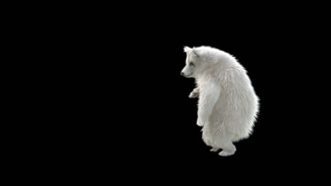 White Bear Dancing Cg Fur 3d Stock Footage Video (100% Royalty-free ...