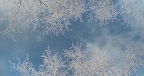 300 Subtle winter background Stock Video Footage - 4K and HD Video ...