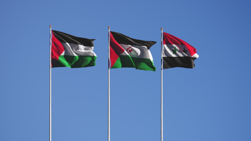 8,916 Arabs Country Flags Stock Video Footage - 4K and HD Video Clips ...