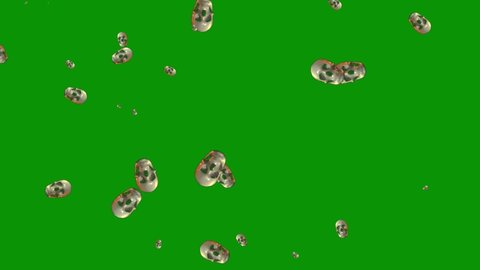 Green screen skull Stock Video Footage - 4K and HD Video Clips ...