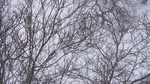 Collections by JD Media Production | Shutterstock