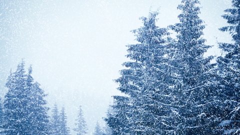 winter wonderland - seamless hd loop Stock Footage Video (100% Royalty ...