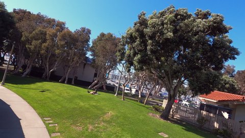 Aerial Moving Forward Through Trees Exploring Stock Footage Video (100% ...