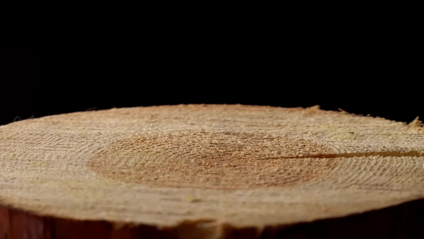 Oak tree rings Stock Video Footage - 4K and HD Video Clips | Shutterstock