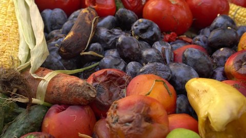 spoiled fruits vegetables food loss waste Stock Footage Video (100% ...