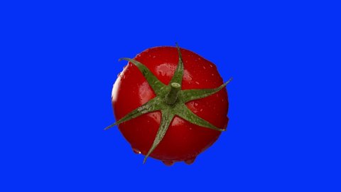 Tomato Spinning Blue Screen Chromakey 4k Stock Footage Video (100% ...