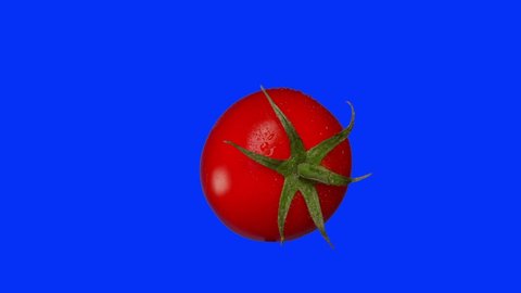Tomato Spinning Red Wet Blue Screen Stock Footage Video (100% Royalty ...