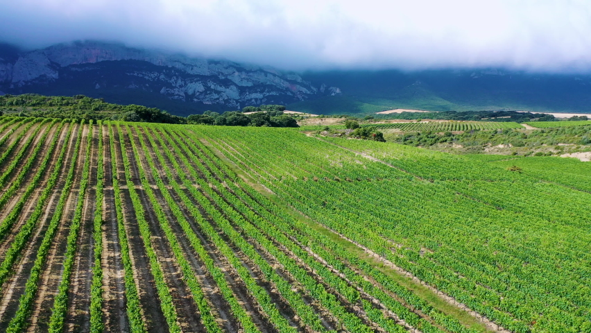 Basque Pattern Stock Video Footage - 4K and HD Video Clips | Shutterstock