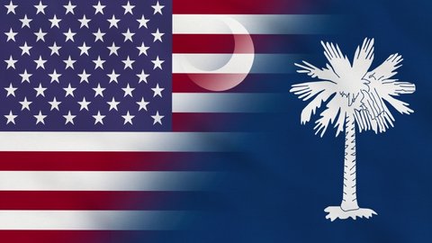 Crumpled Fabric Flag South Carolina State Stock Footage Video (100% ...