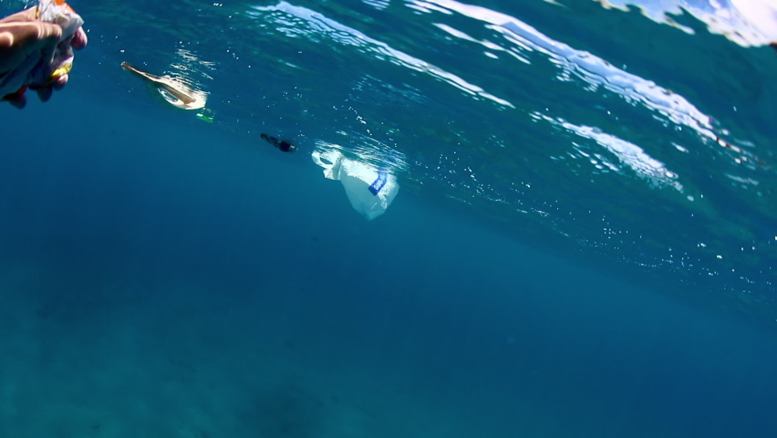 Oahu Fish Stock Video Footage - 4K and HD Video Clips | Shutterstock