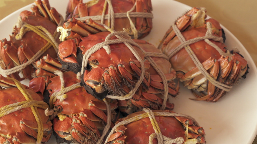 75 Crab string Stock Video Footage - 4K and HD Video Clips | Shutterstock