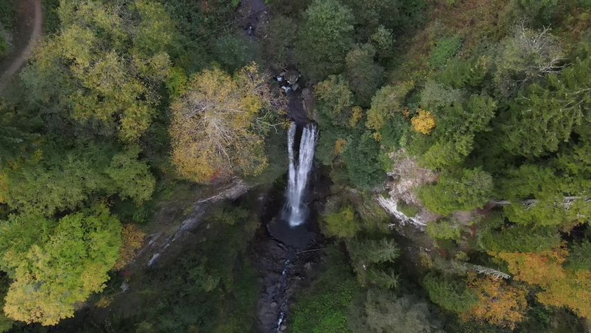 Maral Stock Video Footage - 4K and HD Video Clips | Shutterstock