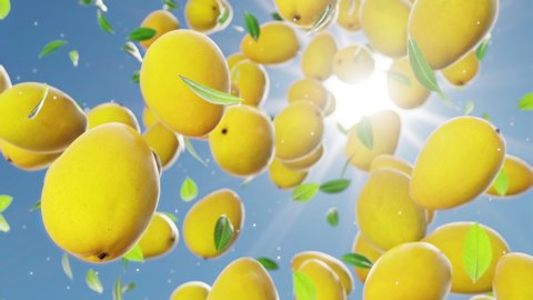 Fresh Yellow Mangoes Falling Sky Slowmo Stock Footage Video (100% ...