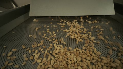40 Sorting peanuts Stock Video Footage - 4K and HD Video Clips ...