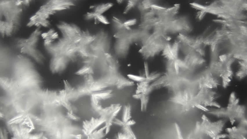 Ice Crystals Under Microscope Stock-video (100 % royaltyfri) 10689785 ...