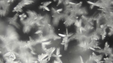 Ice under microscope Stock Video Footage - 4K and HD Video Clips ...