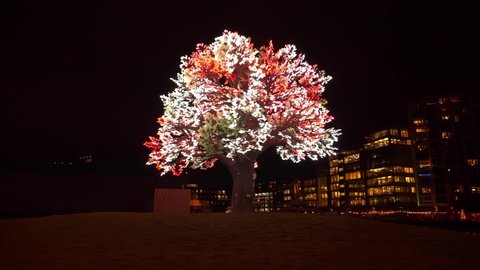 Oslo Treet 14 Meter High Art Stock Footage Video (100% Royalty-free ...