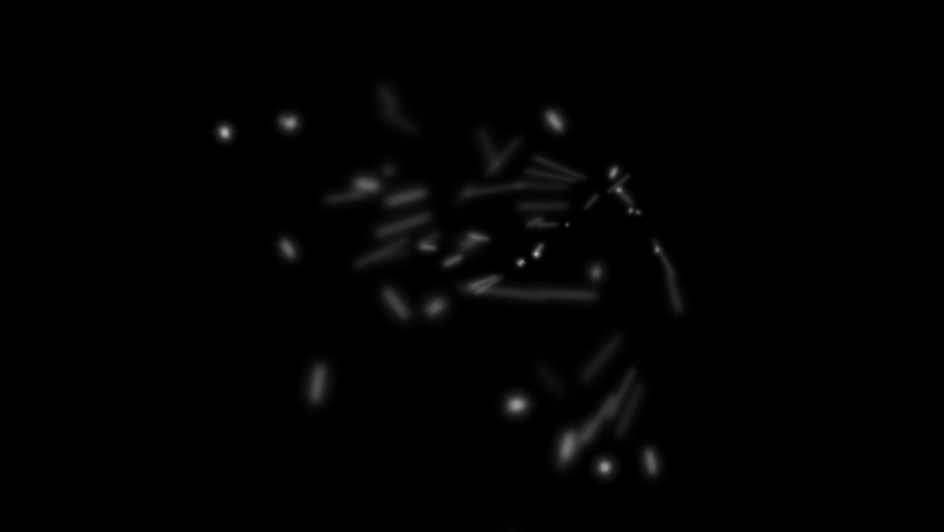 Quark Gluon Stock Video Footage - 4K and HD Video Clips | Shutterstock