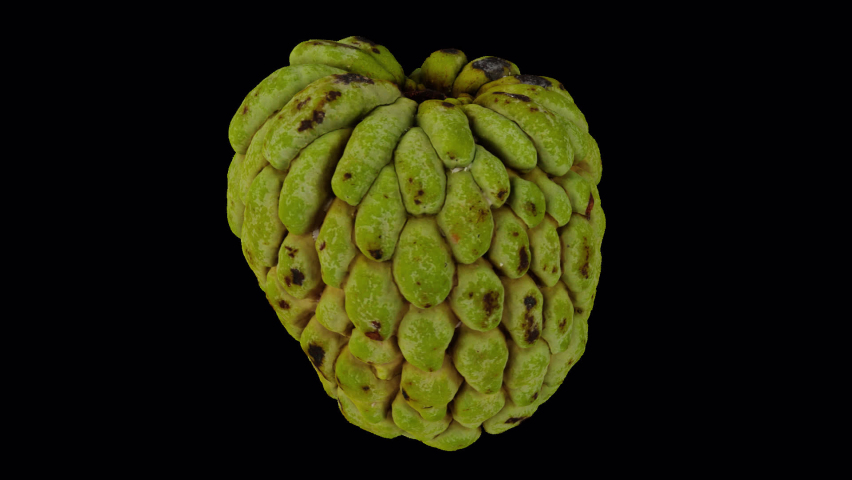 Atis fruit Stock Video Footage - 4K and HD Video Clips | Shutterstock