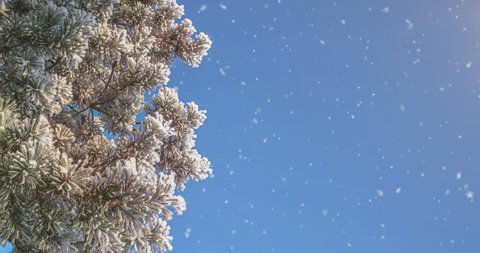 winter scene animated snow loop Stock Footage Video (100% Royalty-free ...