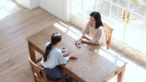 Young Japanese Mother Daughter Talking Living Stock Footage Video (100% Royalty-free) 1069246726 ...