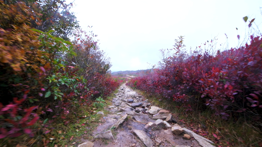 Pov Low Angle Ground Level Point Stock Footage Video (100% Royalty-free ...