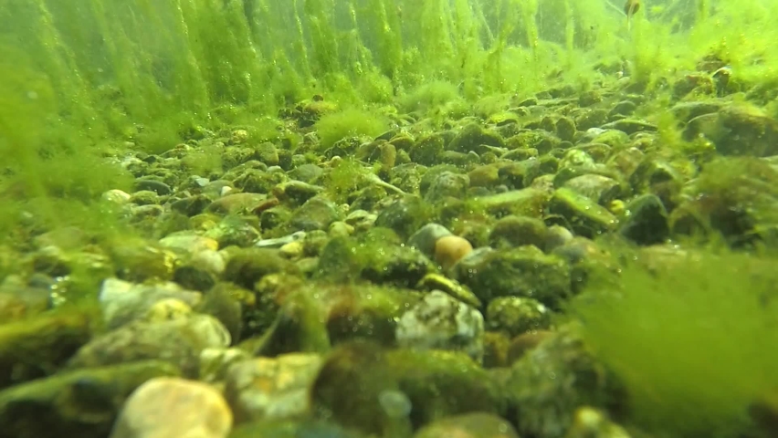 Geothermal Spring Under Water Stock Video Footage - 4K and HD Video ...