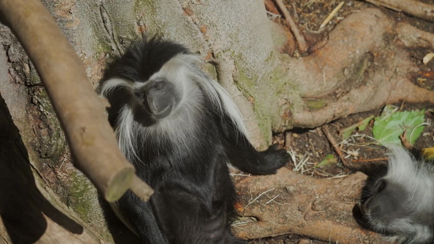 This Video Shows a Long Stock Footage Video (100% Royalty-free ...