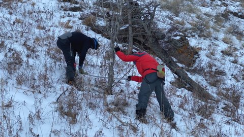 2 man tree saw Stock Video Footage - 4K and HD Video Clips | Shutterstock