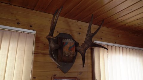 Deer Antlers On Wall Inside Wooden Stock Footage Video (100% Royalty ...