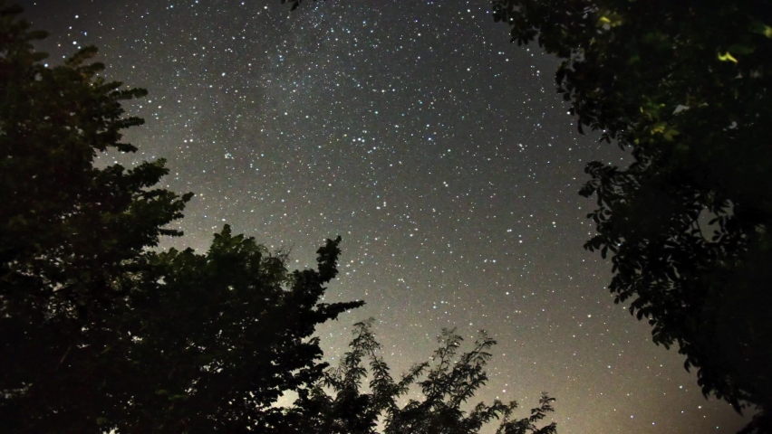 Trees Under Starry Night. Night Stock Footage Video (100% Royalty-free ...