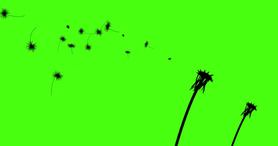 Pusteblume Wind Stock Video Footage - 4K and HD Video Clips | Shutterstock