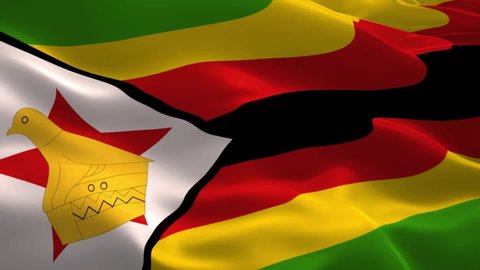 19 Bulawayo flag Stock Video Footage - 4K and HD Video Clips | Shutterstock