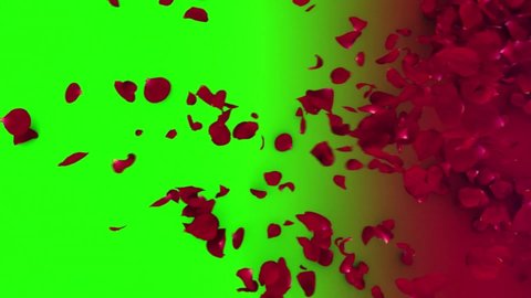 1,889 Green screen rose Stock Video Footage - 4K and HD Video Clips ...