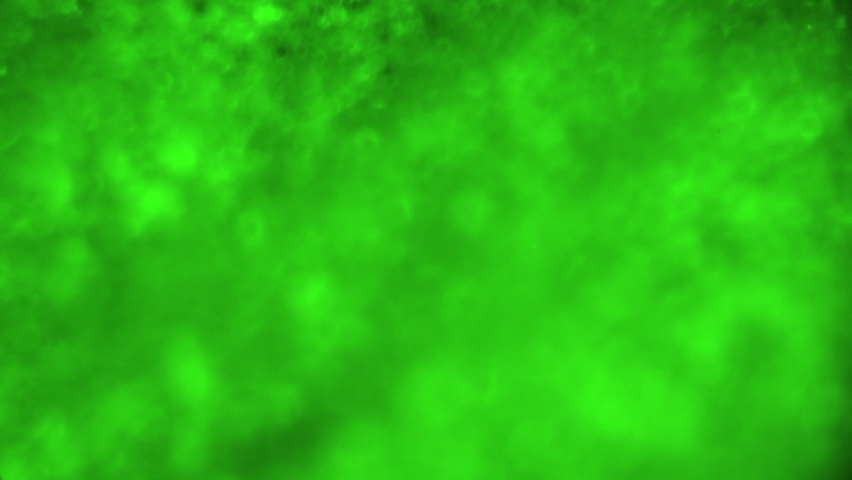 chlorophyll plant cells view under microscope Stock Footage Video (100% ...