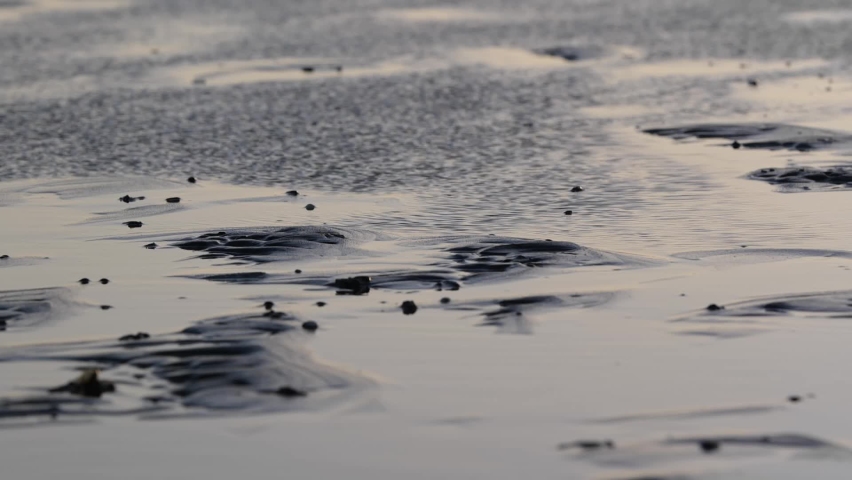 Lewy body Stock Video Footage - 4K and HD Video Clips | Shutterstock