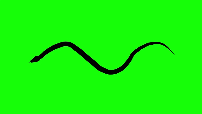 Snakes top view Stock Video Footage - 4K and HD Video Clips | Shutterstock