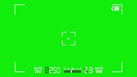 Camera Rec Viewfinder Green Screen Video Stock Footage Video (100% ...