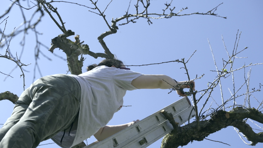 Ladder Tree Stand Stock Video Footage - 4K and HD Video Clips ...