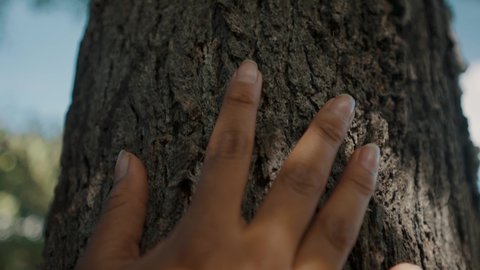 Hand Indigenous Woman Touching Tree Trunk Stock Footage Video (100% ...