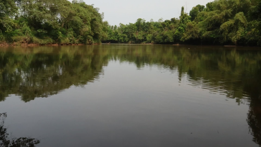 Kalu Stock Video Footage - 4K and HD Video Clips | Shutterstock