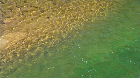 Green Moving Water Next Shallow Brown Stock Footage Video (100% Royalty ...