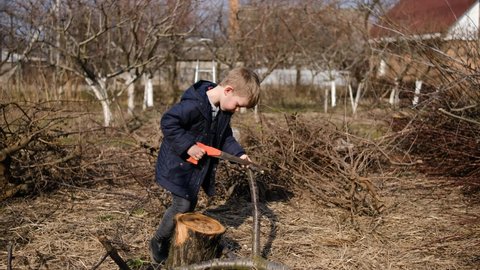 Little Boy Helps His Dad Prune Stock Footage Video (100% Royalty-free ...