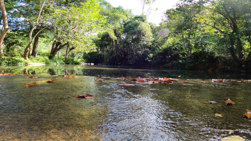 4k footage river flowing clear clean Stock Footage Video (100% Royalty ...