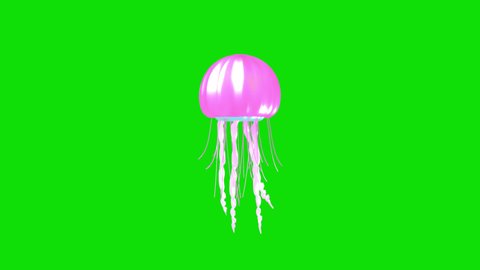Looped Cartoon Jellyfish On Green Screen Stock Footage Video (100% ...
