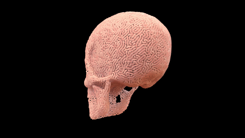 skin carved skull alpha channel loop Stock Footage Video (100% Royalty ...