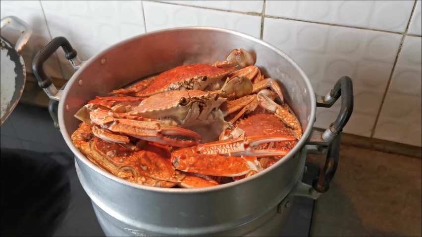 Steam Crab Stock Video Footage - 4K and HD Video Clips | Shutterstock