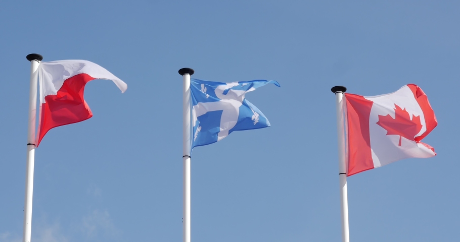 Quebecois flag Stock Video Footage - 4K and HD Video Clips | Shutterstock