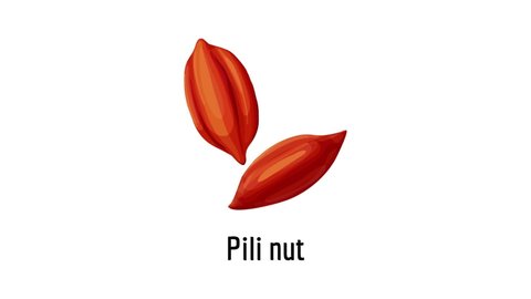 Pili Nut Icon Animation Cartoon Object Stock Footage Video (100% ...